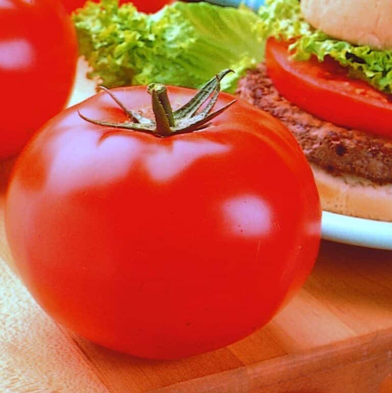 Tomate Big Beef - Fred Lamontagne inc.