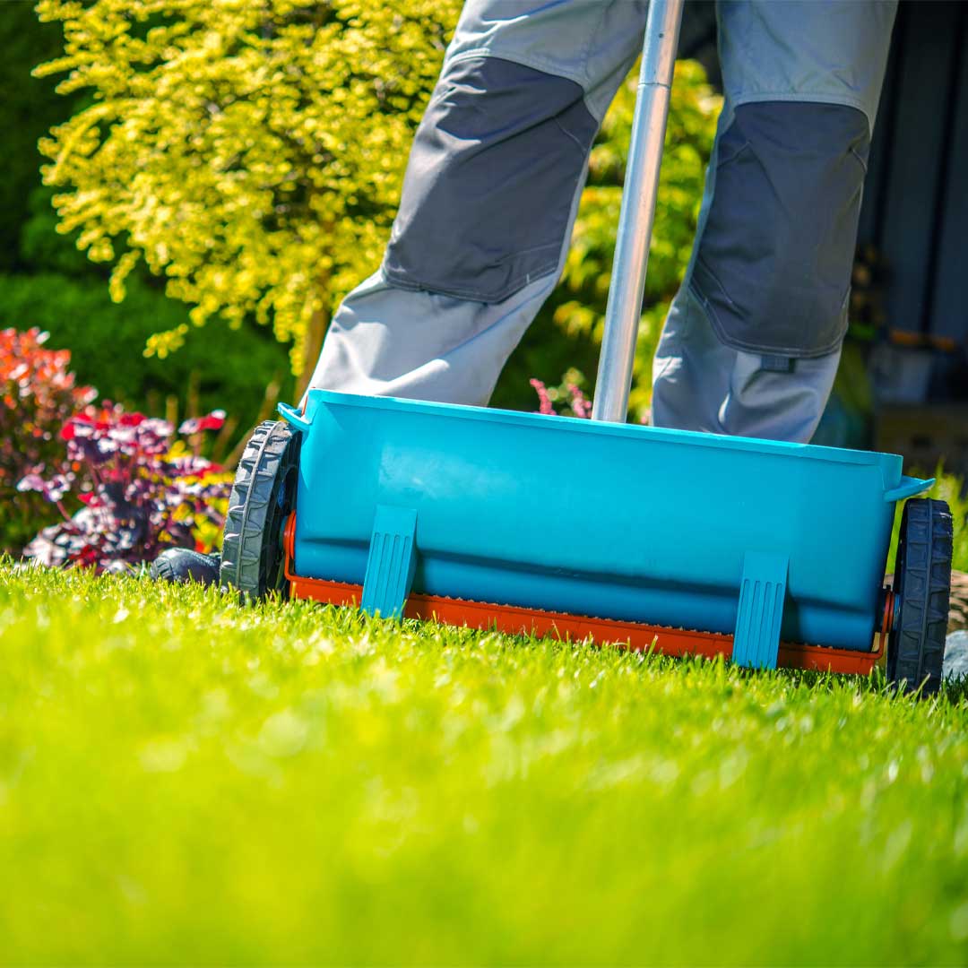Pour semer un nouveau gazon et des conseils d'entretien - Fred ...